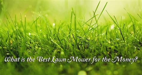 String Trimmer Vs Lawn Mower Do I Need Both Homewares Insider