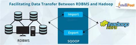 what is sqoop introduction to apache sqoop intellipaat