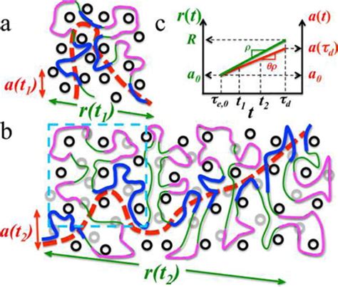 Self Similar Conformations And Dynamics In Entangled Melts And Solutions Of Nonconcatenated Ring