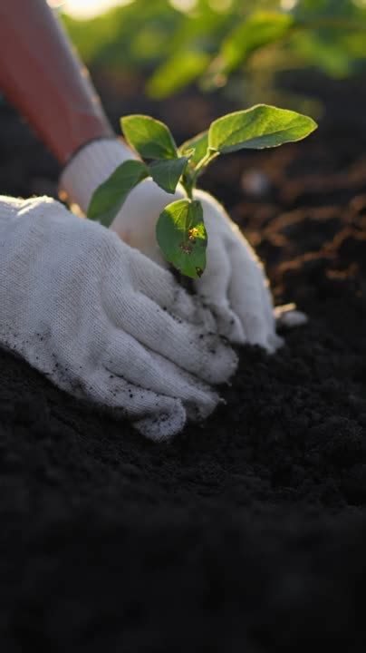 Khan Bank On Linkedin Khanbank Khanbankfoundation Growingtogether хамтынөсөлттөгөлдөр…