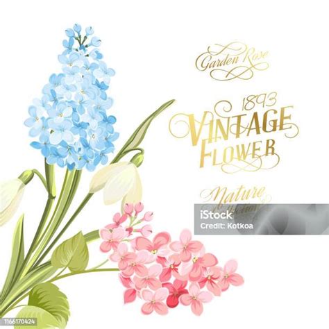 결혼 초대장 봄 꽃과 결혼식 초대장입니다 흰색 배경과 신부 샤워 초대장입니다 봄 이나 여름 의식에 대 한 결혼 꽃 초대 개념에 대한 스톡 벡터 아트 및 기타 이미지 Istock