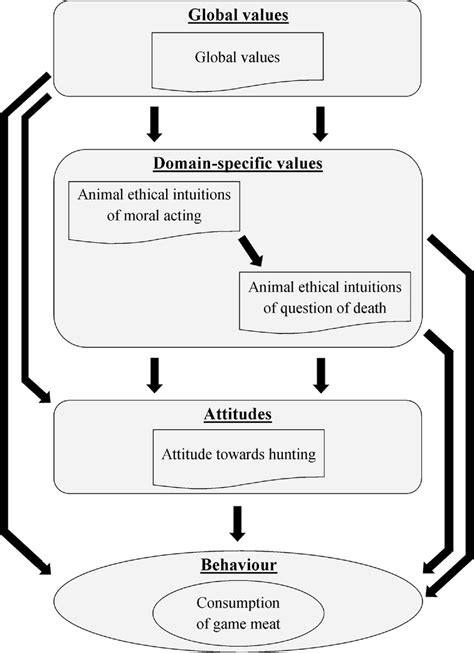 Conceptual Framework Of The Adapted Consumer Value Attitude System