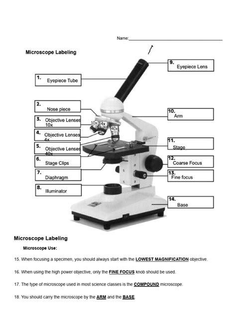 Microscope Labeling Pdf