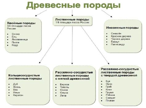 Породы древесины: таблица, виды, классификация