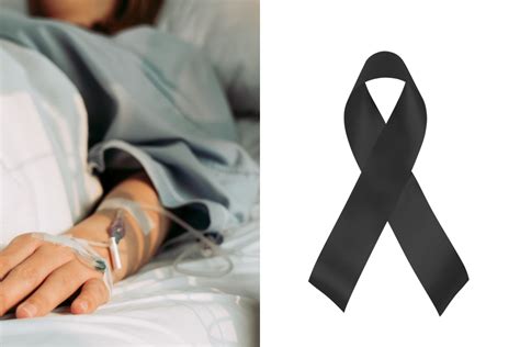 Muere Isis Freitas Actriz Y Modelo Brasileña De Tan Solo 22 Años