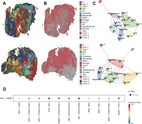 From Single Cell To Spatial Transcriptomics Decoding The Glioma Stem Cell Niche And Its