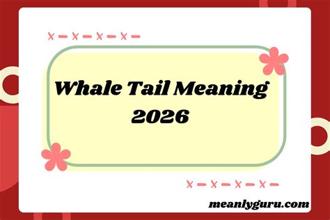 Whale Tail Meaning What It Really Says About You2026