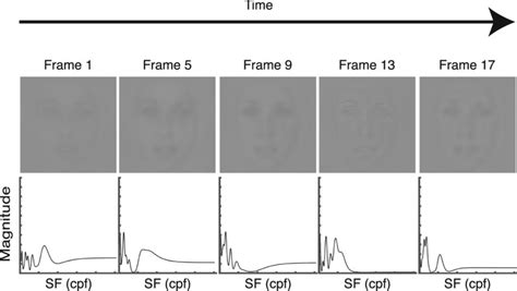 Example Of A Sequence Of The Sfs Sampled Across Time With The