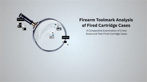 Application Exercise 1 By Camille Garcia On Prezi