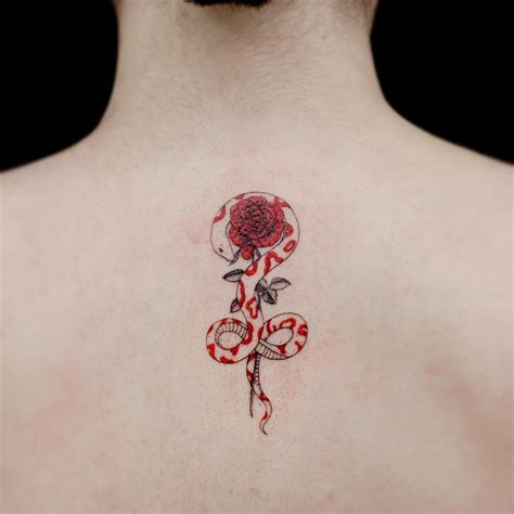 🌹🐍🌹 장미와 뱀 타투 타투도안 그림 드로잉 일러스트 뱀타투 꽃타투 컬러타투 감성타투 홍대 홍대타투 패션 데일리 디자인 Tattoo
