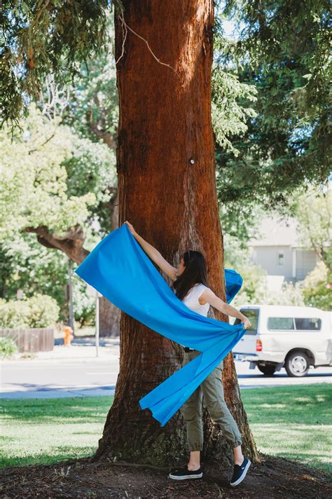 Bright Existence — Robin Mullery