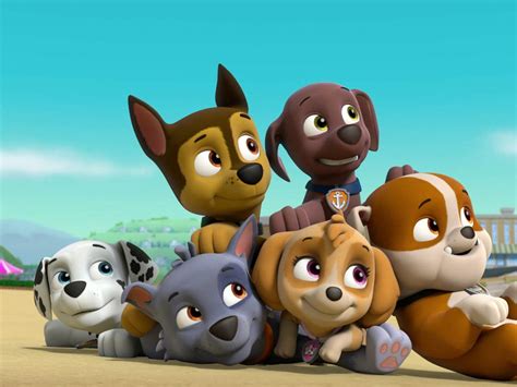 Watch Paw Patrol Volume 12 Prime Video Watch Paw Patrol Volume 12 Prime Video