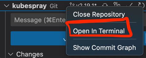 VS Code Opens System Terminal Instead Of VS Code Integrated Terminal From Source Control On