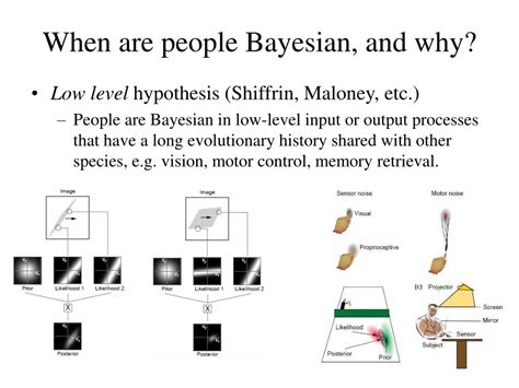 Ppt Bayesian Models Of Human Inference Powerpoint Presentation Free