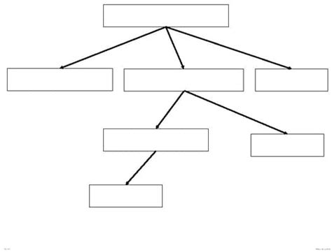 Quadrilateral Hierarchy By Soaring Bird Mathematics Tpt Quadrilateral Hierarchy By Soaring Bird Mathematics Tpt