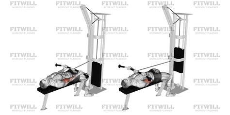 Cable Lying Biceps Curl Version 2 Exercise Video Fitwill