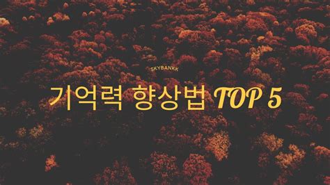 기억력 향상법 Top 5 Youtube