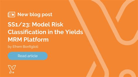 model risk classification in the yields mrm platform
