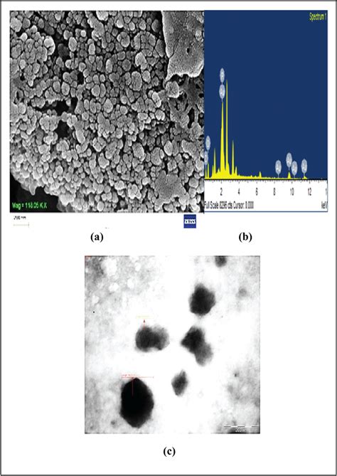 Characterization Of Aunps A Sem Micrograph B Edax Spectra And C Tem Download Scientific