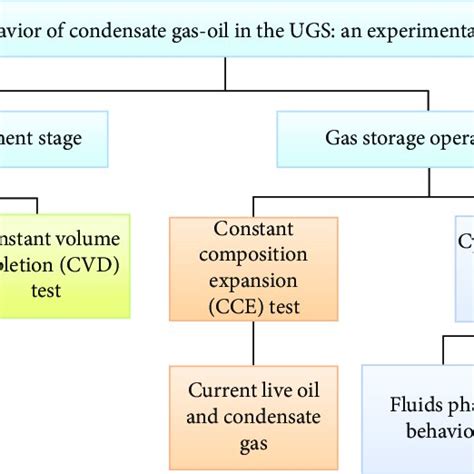 The Flowchart Of Investigation Steps At Different Stages For