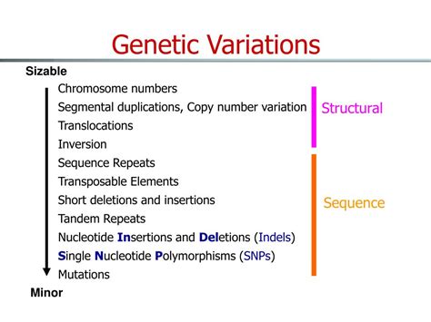 Ppt Gene Variations Single Nucleotides Polymorphism And Copy Number Variation Powerpoint