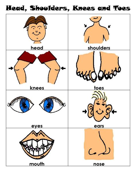 Head Shoulders Knees And Toes Poem At Randy Stambaugh Blog