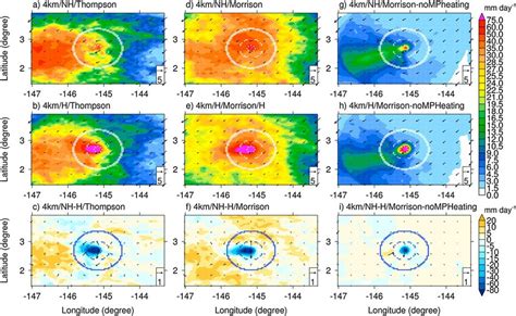 Precipitation And 10 M Wind In M S À1 In The Nonhydrostatic And Download Scientific Diagram