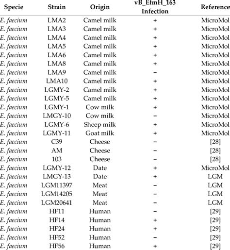 E Faecium And E Faecalis Strains Used In This Work For Bacteriophage Download Scientific