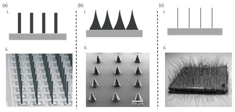 Cilia Inspired Bionic Tactile E Skin Structure Fabrication And Applications