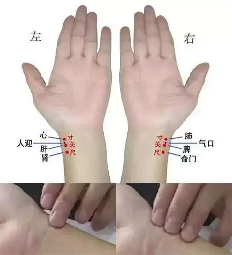 中医院把脉是把左手还是右手，还是两只手都把脉？ 知乎