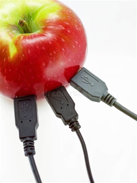 USB Apple Stock Photo Image Of Cable Tech Information 6778074