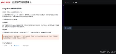 萌新必备，效率至上！kingbasees在线体验详解kingbase 在线sql测试 环境 Csdn博客