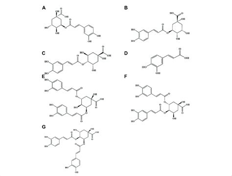 chemical structure of the 7 phenolic acids in ps a 5 cqa b