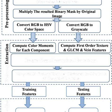 Pdf Plant Classification System Based On Leaf Features