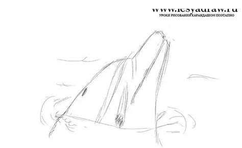 როგორ დავხატოთ დელფინი ყველაფერი ტატუების შესახებ