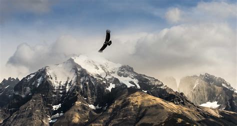 Patagonia And The Atacama Ed Kenney Photography