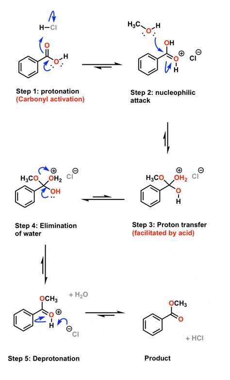 Acid Catalysts For Esterification At Michelle Ma Blog