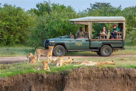 Masai Mara Luxury Safari 2026 Travel Guide Packages And Cost