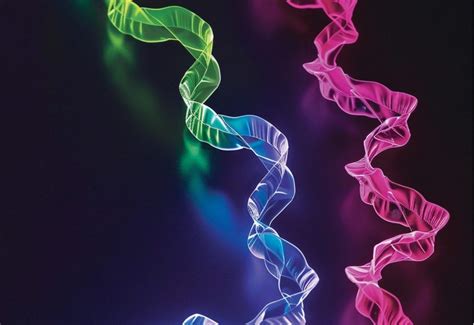 Press Release Polymer Chemistry And Materials Research Group