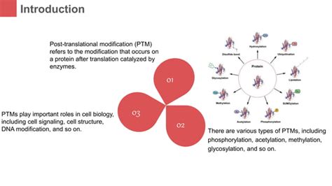 Strategies For Post Translational Modification Ptm Pptx
