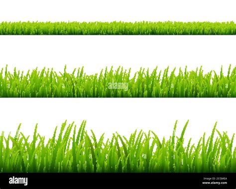 Green Grass Meadow Border Vector Pattern Spring Or Summer Plant Field Lawn Grass Background