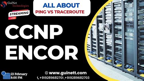 Learn Everything About Ping And Traceroute Youtube