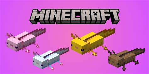 Minecraft Can You Tame An Axolotl Info Edugame My Id