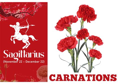 Zodiac Flowers Sagittarius