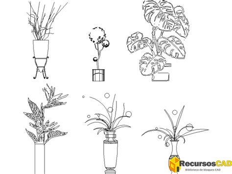 Bloques Autocad Plantas Ornamentales Para El Porche En Dwg 2d Gratis