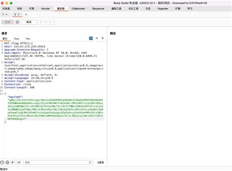 Bugku CTF Python Pickle UnserializerPython的反序列pickle 知乎