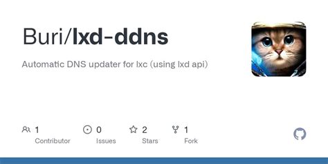 lxd ddns automatic dns updater for lxc using lxd api r lxd