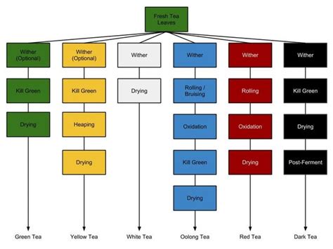Detail Tea Manufacturing Process Flow Chart Koleksi Nomer 1