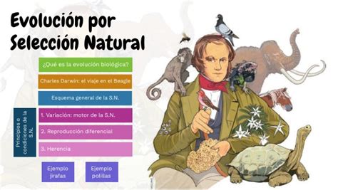 Evolución Por Selección Natural