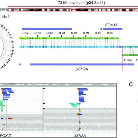 Genome Sequencing Reanalysis Reveals 30 Previously Overlooked Download Scientific Diagram